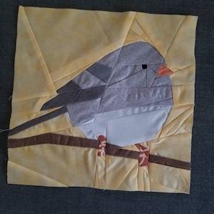 Blue Jay Paper Piecing Pattern - Etsy