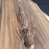Flyfishing Trout Mirror Stl, 3d Trout Stl, Fishing Stl, Brown Trout ...