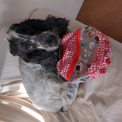 Waterproof Thick Dog Snood , Swimming Cap for Dog , Dog Hat for Snow - Etsy