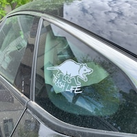 Trash Life Opossum Marsupial, Possum, Wildlife, Love, Cute, Roadkill ...