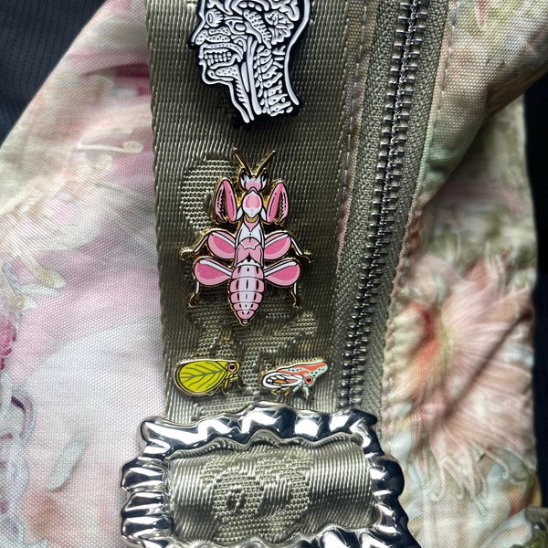 Number 1 Bug Enthusiast Iron-on Patch / Entomologist / Entomology ...