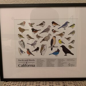Wisconsin - Printable Backyard Birds of Wisconsin Field Guide Print ...