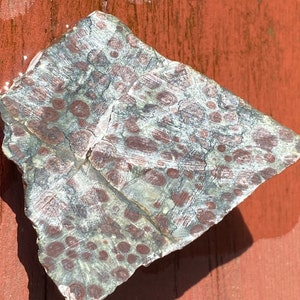 Preform Star Light Root Beer Banded Brazil Agate Cab Slab | Etsy