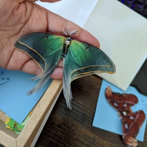 Silk Luna Moth Extra Large Lapel Pin Brooch 3d Three-layered Wings Faux ...