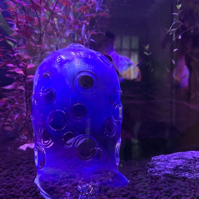 Swiss Dome Fish Tank Functional Art - Etsy