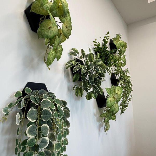 Modern Hexagon Wall Planter: Minimalist Geometric Plant Holder, Home ...