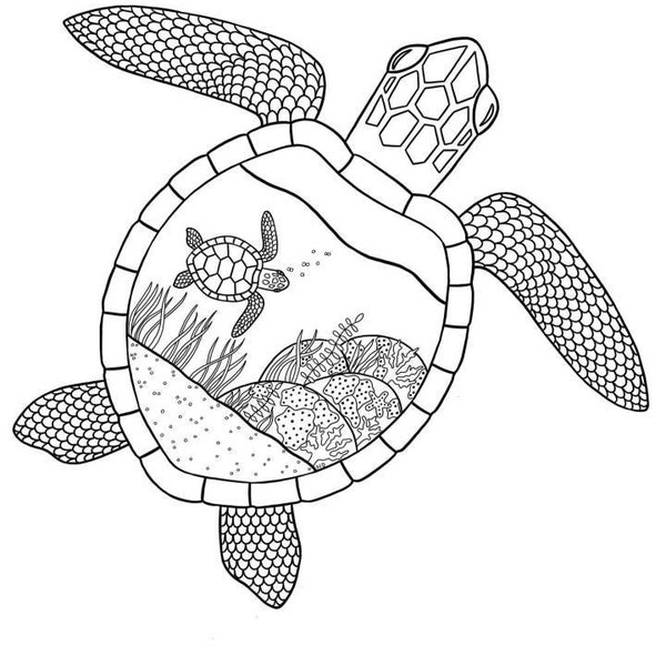 Hidden Gnomes in Shed - Printable Adult Coloring Page - Instant ...