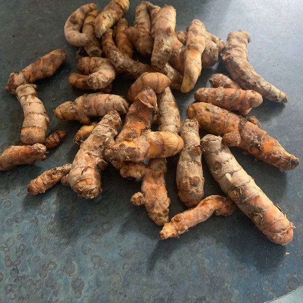 Fresh Wild Turmeric From Fiji 1LB - Etsy