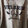 Darling Bat Boys Crewneck Sweatshirt,back Design Sweatshirt,velaris ...