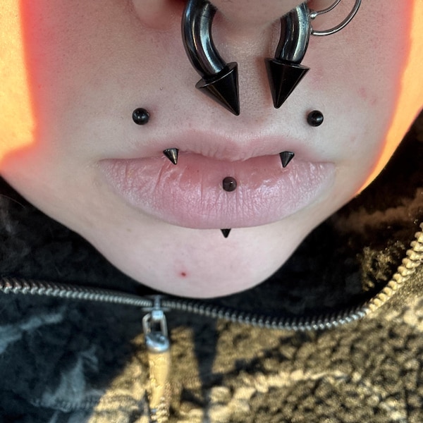 14g SEPTUM Ring, Septum Horseshoe, Septum Ring 14g, Circular Barbell ...