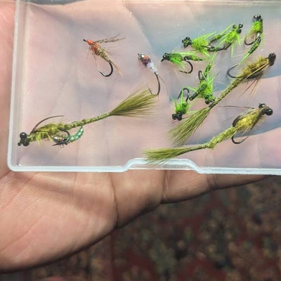 3 Euro Nymphing Flies 1 FREE Random Fly Tungsten Caddis Hot Spot Egg ...