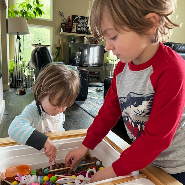 Feed the Farm Animals Sensory Bin Activity, Pre-laminated, Montessori ...