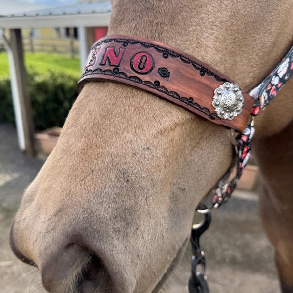 Side Pull Hackamore Pink , Mini to Draft, Pony Hackamore, Bitless ...