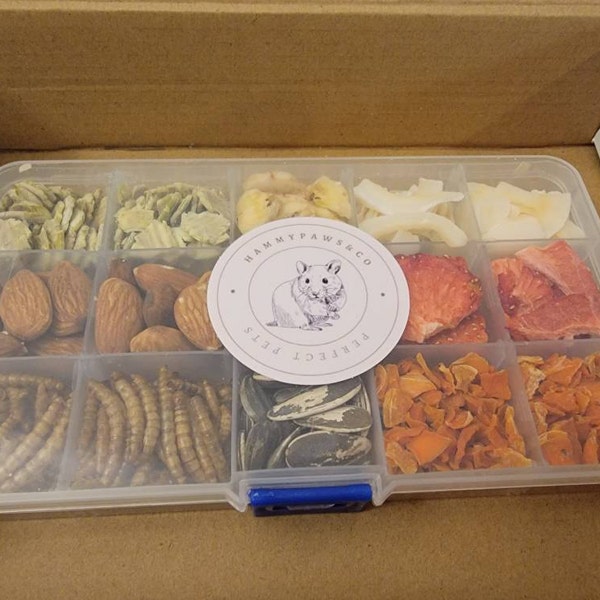 Hamster Treat Boxes - Etsy
