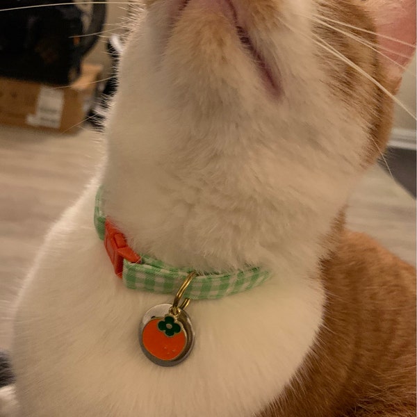 Clementine Cat Collar, Green Gingham Cat Collar With Clementine Charm ...