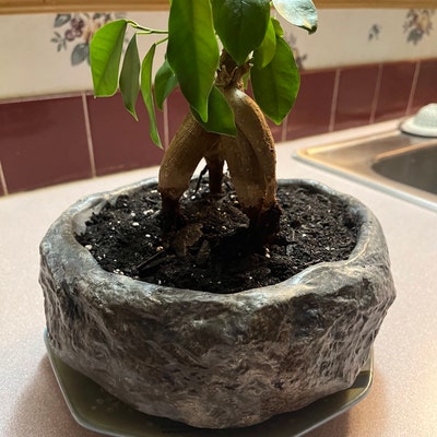 Tall Skinny Concrete Tree Stump Planter - Etsy