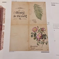 Roses and Script Scrappy Papers, Junk Journal, Pages, Floral, Vintage ...