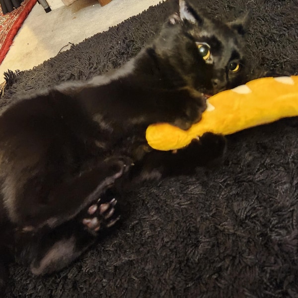 Baby Baguette - Catnip and Silvervine Kicker Cat Toy With or W/o ... Baby Baguette - Catnip and Silvervine Kicker Cat Toy With or W/o ...