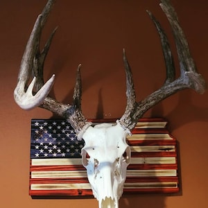 European Deer Mount Plaque Personalized Any State - Etsy