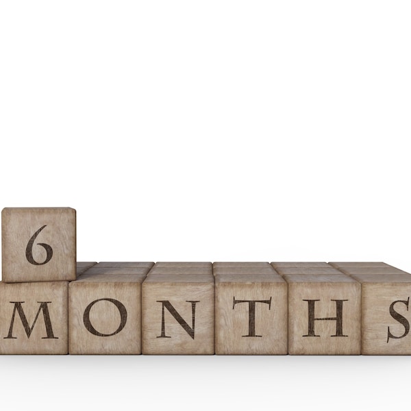 6 Months Digital Backdrop, 6 Month Old Baby Milestone Background, Baby ...