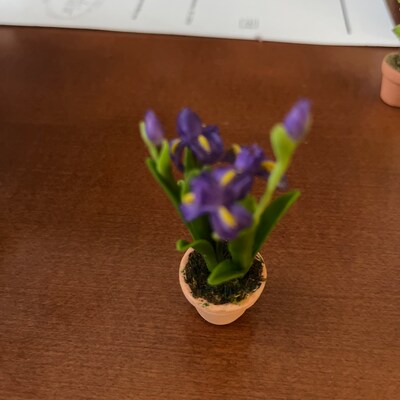 Miniature Water Lily Flower Bunch of Flowers,miniature Blue Color Lotus ...