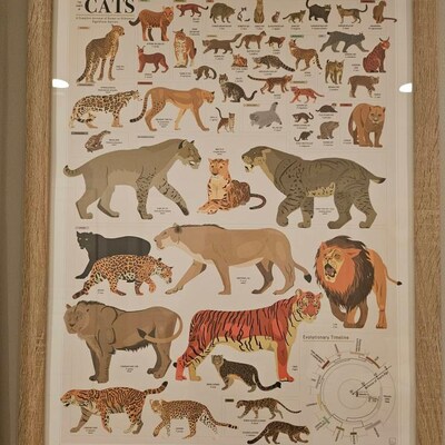 Solar System Space Exploration Print Poster for Home Gift for Cosmic ...