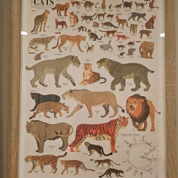 Solar System Space Exploration Print Poster for Home Gift for Cosmic ...