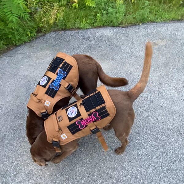 Custom Dog Name Patch - Custom Dog Bone Patch for Dog Vest or ...