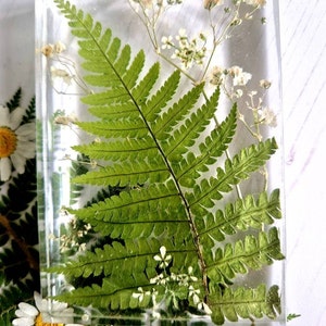 Wine Bottle Stopper Silicone Mold-stopper Topper Resin Molds-cute ...