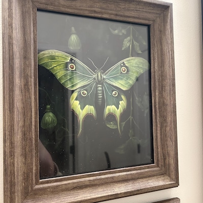 Celestial Eclipse Dark Aesthetic, Solar Lunar Eclipse Vintage Painting ...