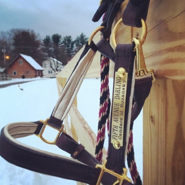 HALTER PLATE XLARGE .032" Solid Brass or .020" Nickel Silver Custom ...