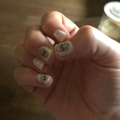 Dinosaur T-rex Nail Art Decal Sticker - Etsy