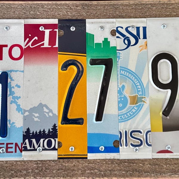 Custom College Name License Plate Sign | Unique 2025 Graduation Gift ...