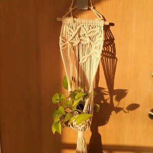 Macrame Pant Hanger Flower Petal Leafe Pattern Macrame Plant - Etsy