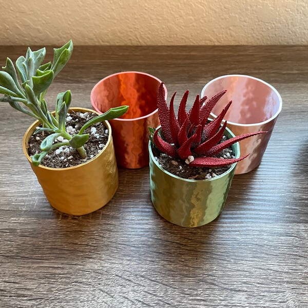 Copper Succulent Planters- Set of 2 - Etsy