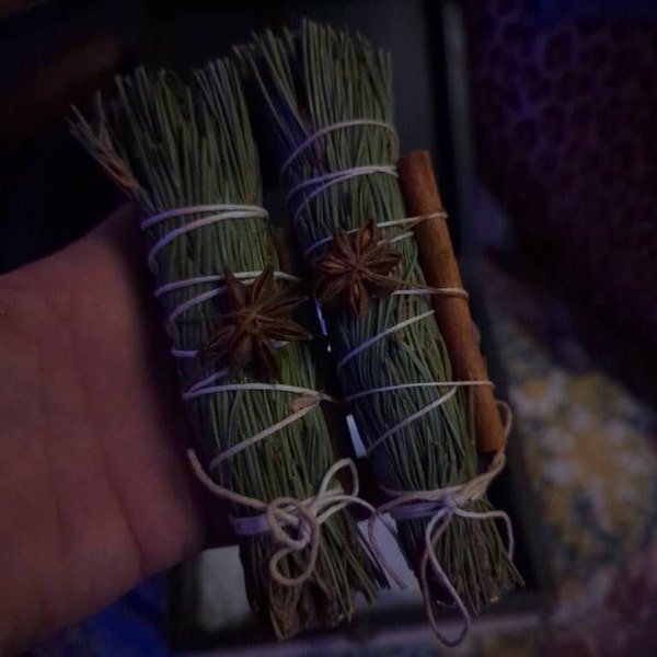Fresh Juniper and Pine Bundle With Cinnamon and Star Anise | Altar ...