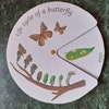LIFE CYCLE of a BUTTERFLY Wheel Montessori Busy Book Activity ...
