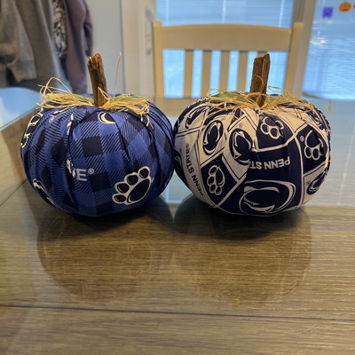 Uga,fabric College Pumpkin, Fall Decor, Autumn Decor, College Football ...