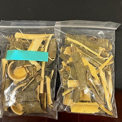 Mimosa Tree Bark albizia Julibrissin. Mimosa Tree. Tree of Hapiness. He ...