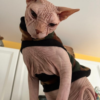 Sphynx Cat Clothes Sphynx Jumper Sphynx Sweater Sphynx - Etsy