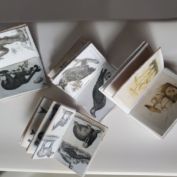 Printable Mini Pictures (public Domain/copy Right Free) - Etsy