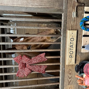 Goat Sign SMALL/ Horse Stall Name Plate/ Hand Routed Wooden Sign ...