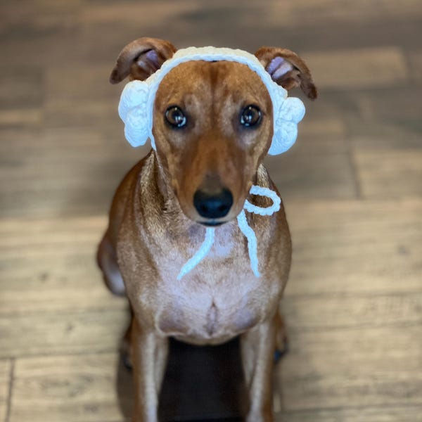 Powdered Wig, Hats for Cats, Barristers Wig, Judge Wig, Pet Costumes ...