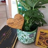 Personalised Wood Plant Gift Tag, Plant Label, Laser Cut and Engraved ...