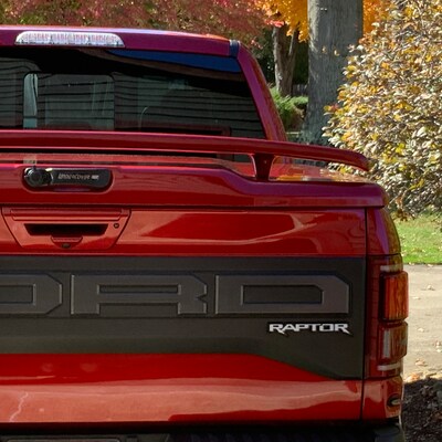 2017-2020 Ford Raptor Rear Emblem Inlay Vinyl Decal - Etsy