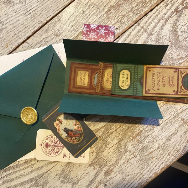 Tardigrade Victorian Microscope Slide Shadowbox - Handmade Curiosity ...
