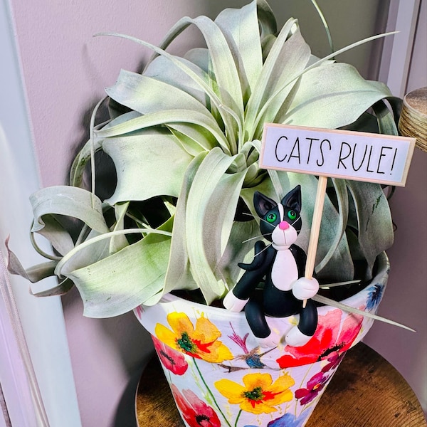 Cat Pot Sitter / Tuxedo Cat / Flower Pot Sitter / Cat Pot Hugger / Cat ...