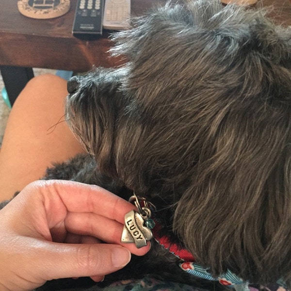 Hand Stamped Pewter Dog ID Tag: Custom Paw Print Pet Tag - Etsy