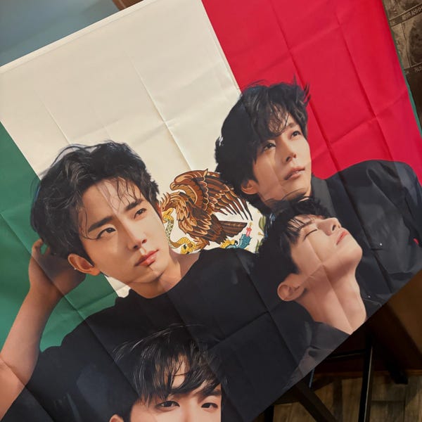 Stray Kids Members Pink American Flag, Stray Kids Concert Banner, SKZ ...