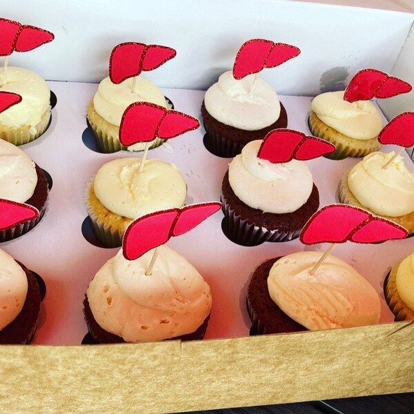 Surgical Surgery Surgeon Anatomy Technician Transplant Operation Organ ...